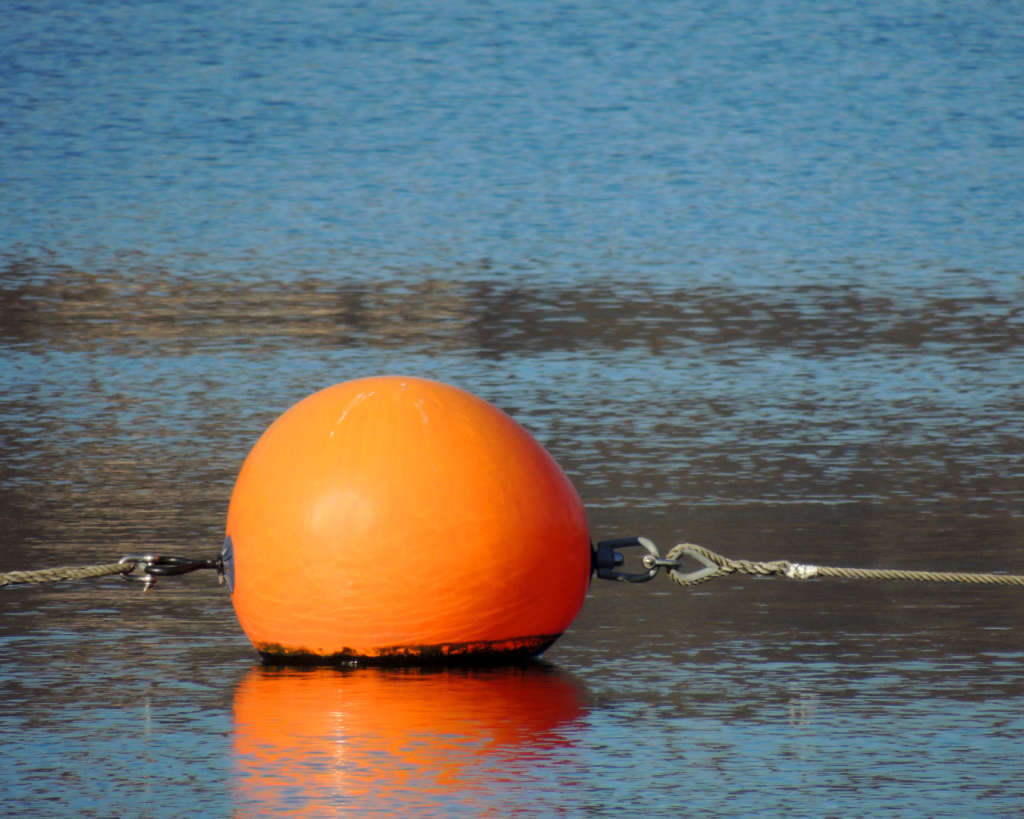 Understanding Lake Hartwell’s Lake Buoys & Channel Markers